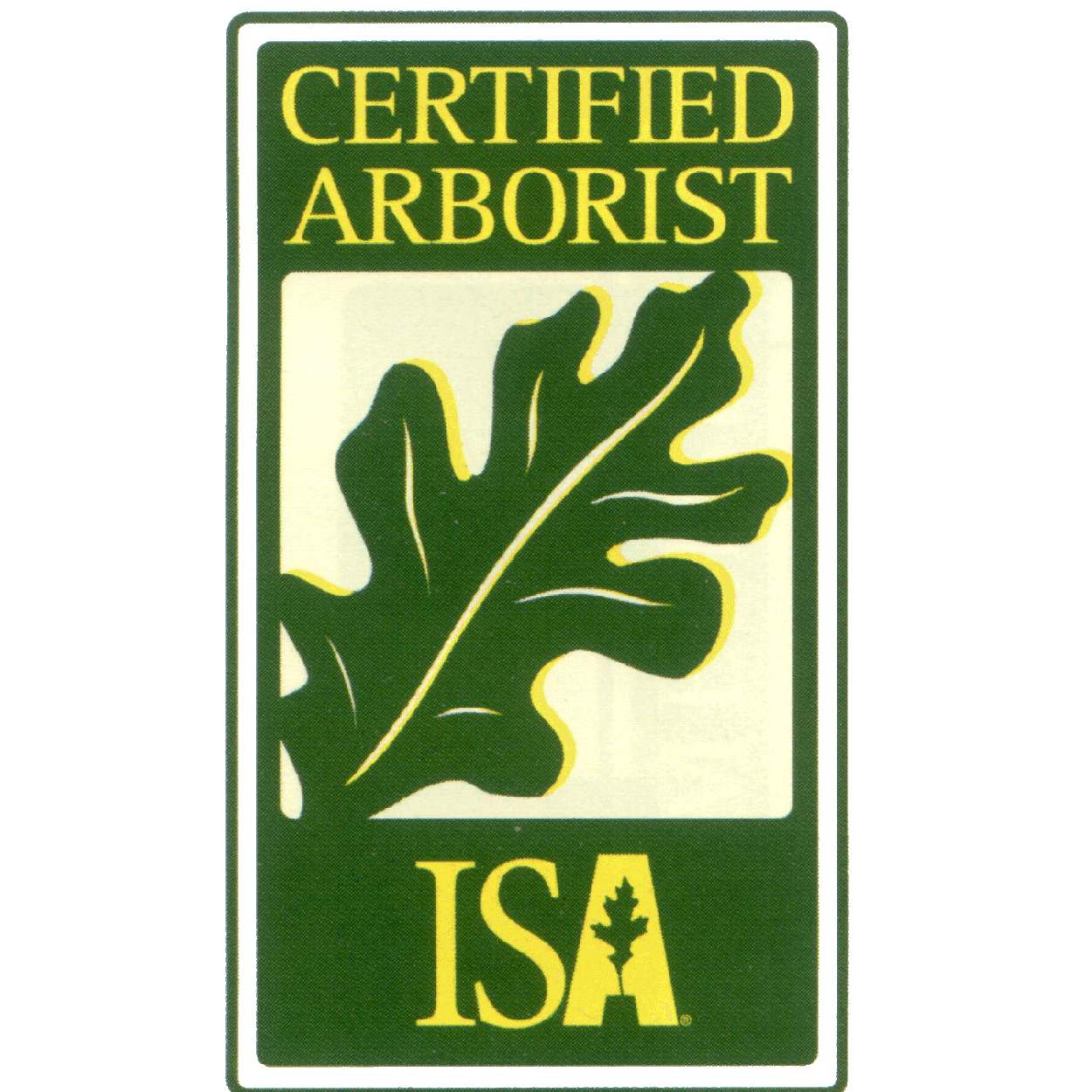 Home - Back Tree Service