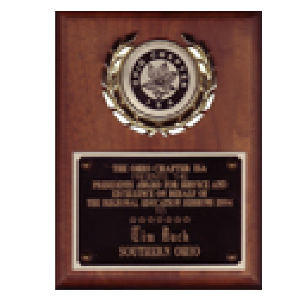 Home - Back Tree Service