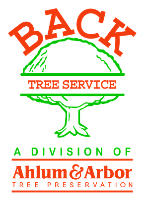 Home - Back Tree Service